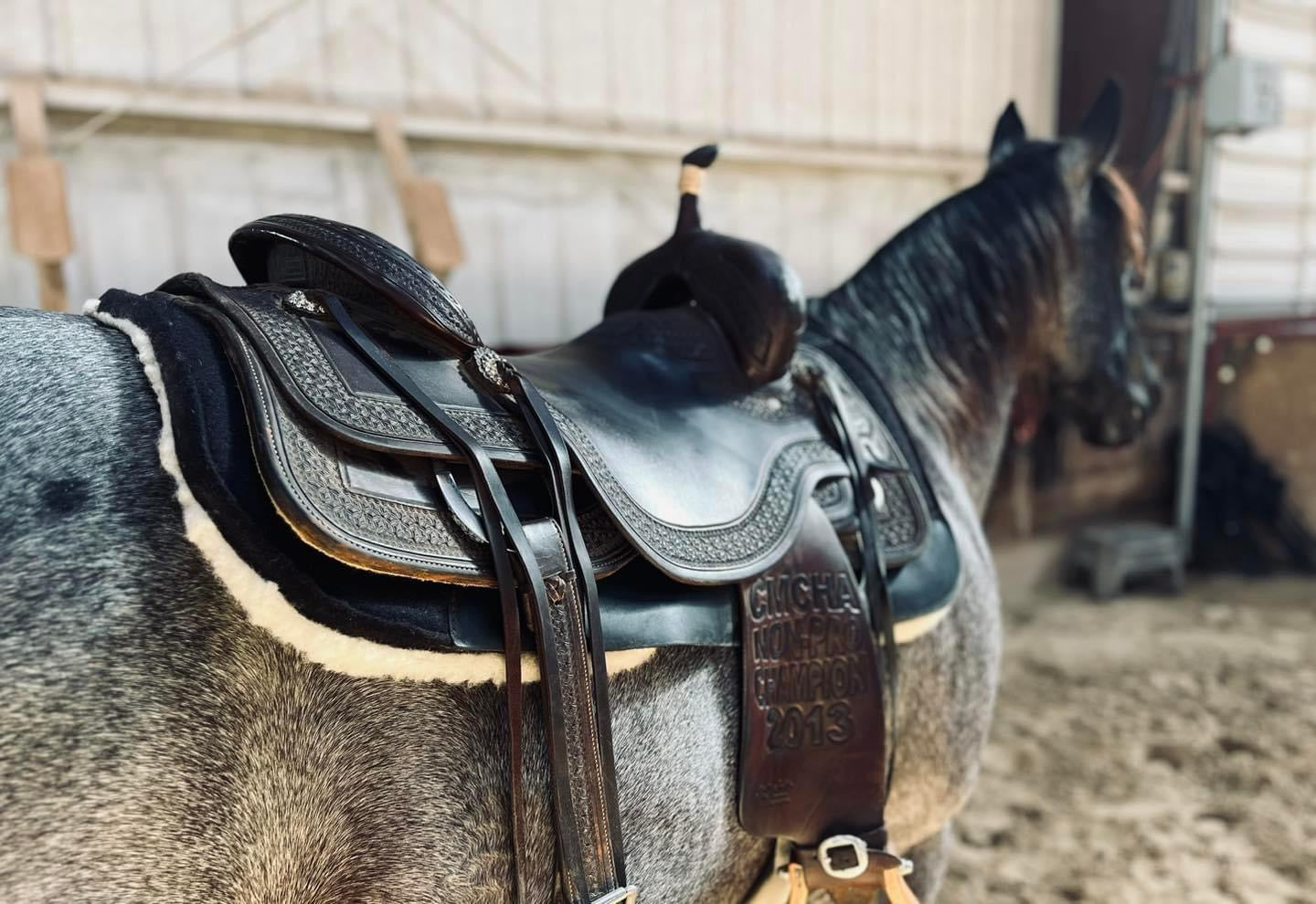 5 Star Saddle Pads- In Stock! – Revelation Ranch