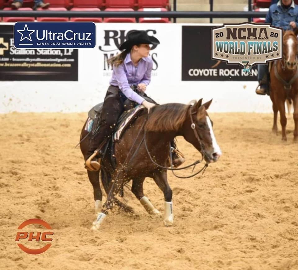 My Favorite Products – Revelation Ranch