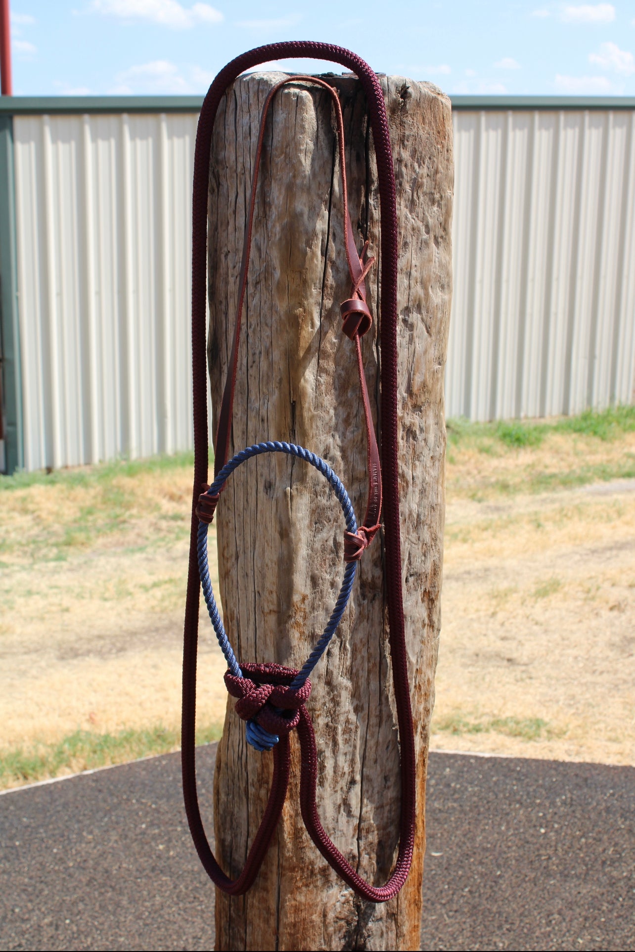 Loping Hackamores – Revelation Ranch